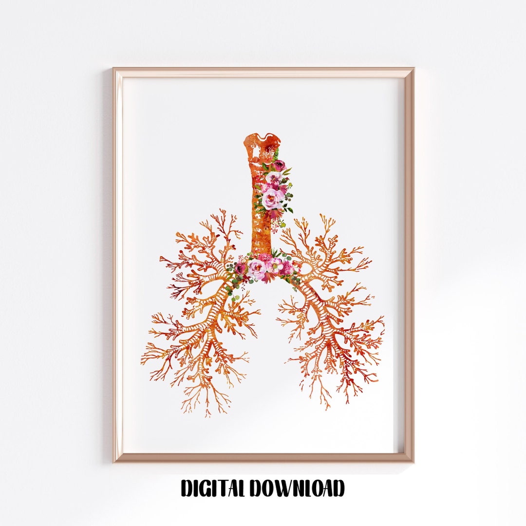 Bronchial Tree Lungs Art Anatomy Alveolar Respiratory System Human ...