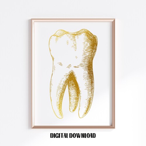 Human Tooth Medical Dental Illustration Floral Flowers Medical | Etsy