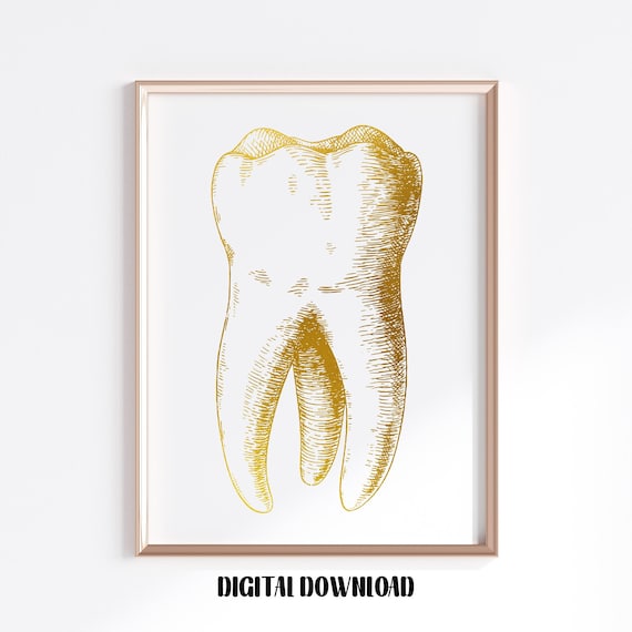 Human Tooth Anatomy Art Medical Dental Illustration Golden Art | Etsy