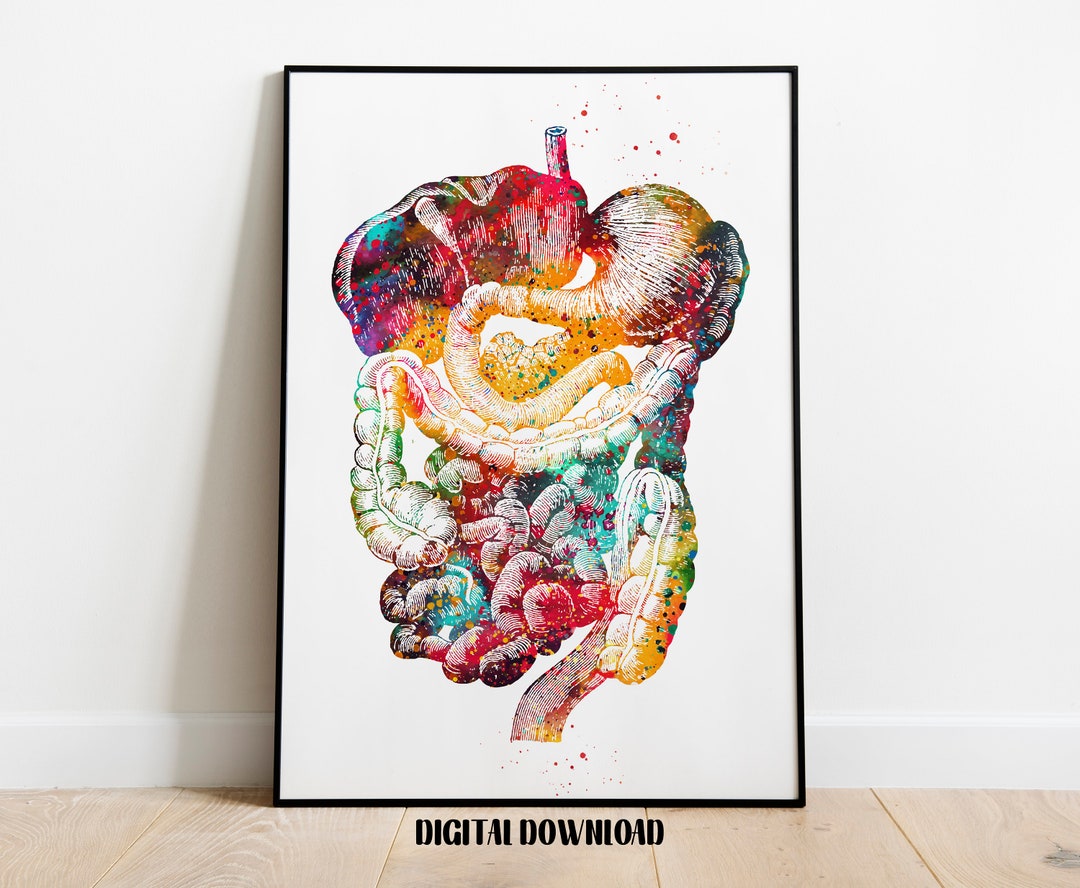 Digestive Tract Biology Poster Medical Science Watercolor Digital ...