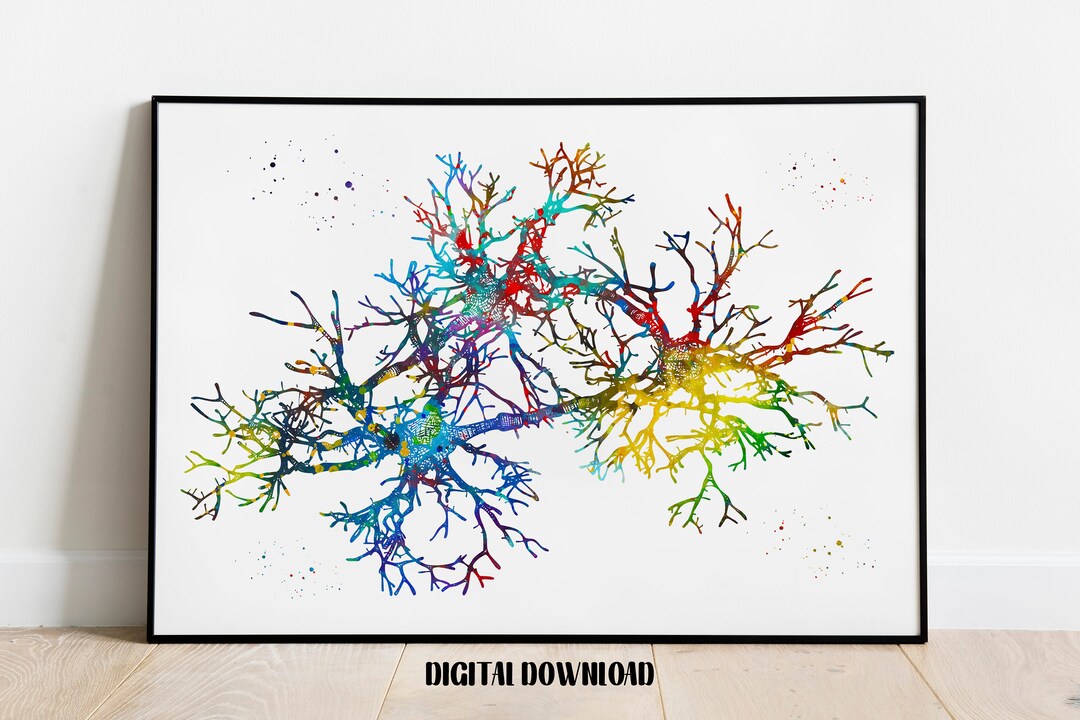 Neuron Cells Neurology Art Abstract Nerve Synapse Poster Science ...