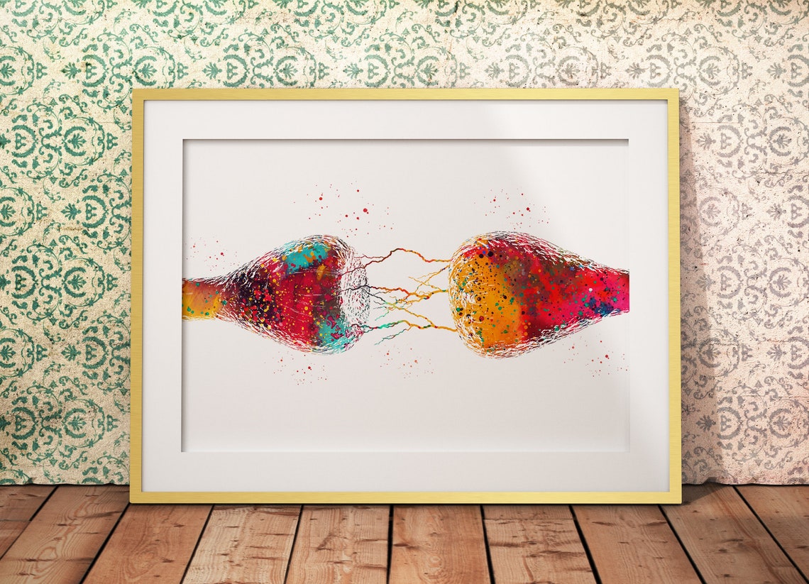 Human Nerve Cell Synapse Receptor Brain Neurology - Etsy
