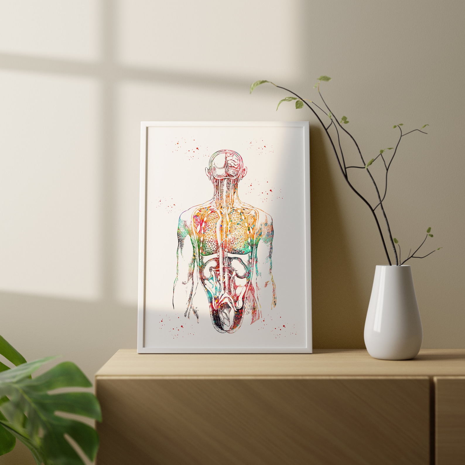 Internal Organs and Circulatory System Anatomy Biology Poster - Etsy