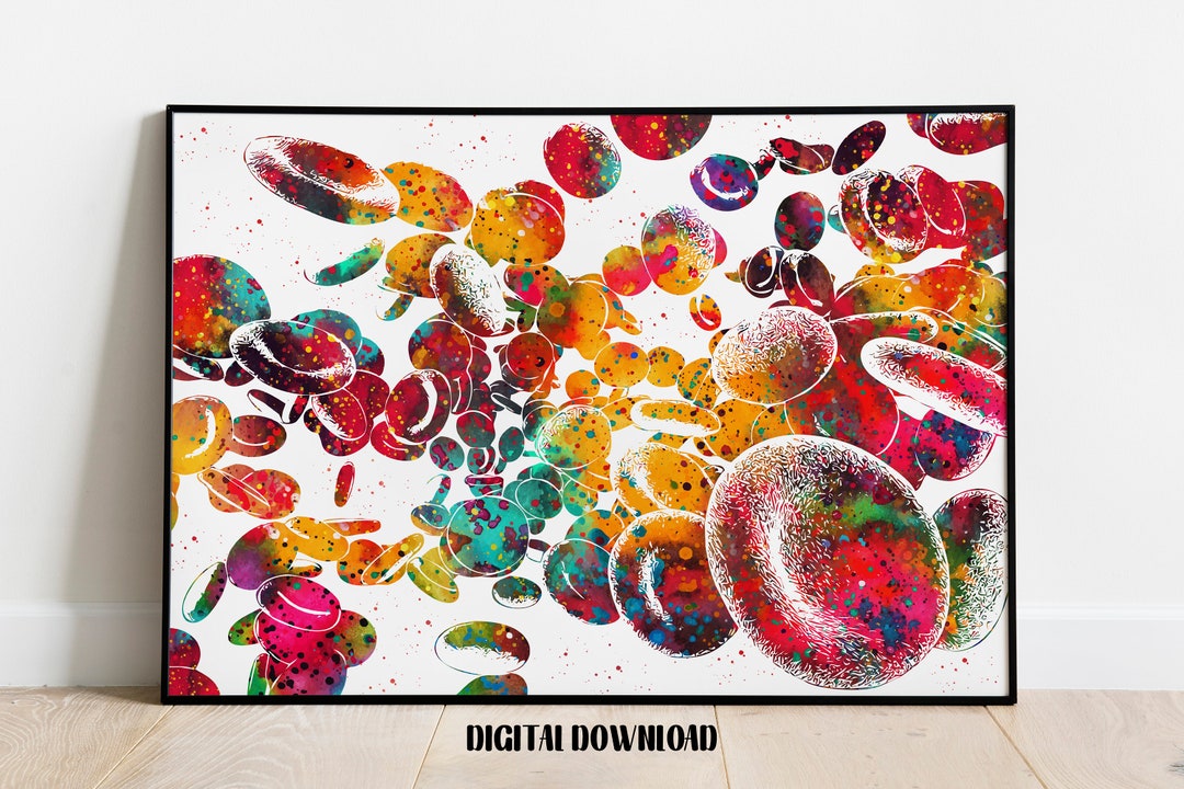Red Blood Cells Blood Histology Hematology Poster Medical Science ...
