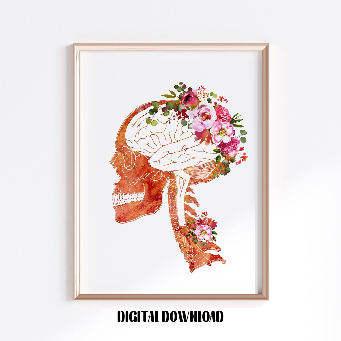 Skull and Brain Anatomy Medical Office Decor Medical Science - Etsy