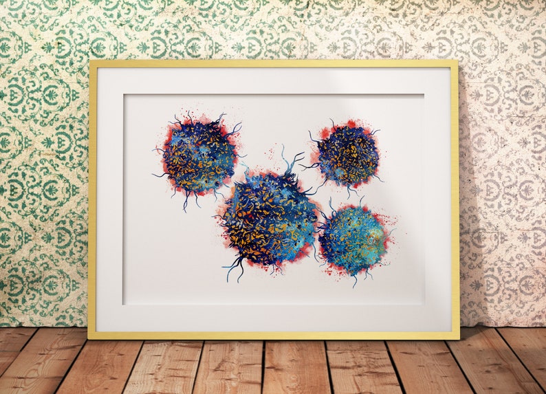 T Cells Human Immunology Biology Poster Medical Science - Etsy
