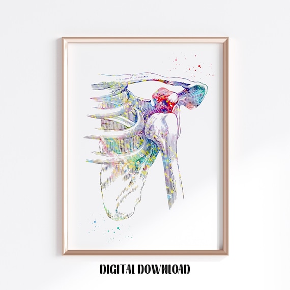 Shoulder Dislocation Orthopedic Art Clinic Decor Poster | Etsy