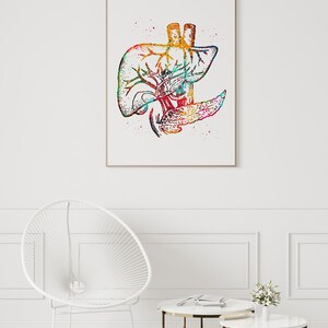 Human Liver Poster Medical Science Watercolor Digital Printable ...