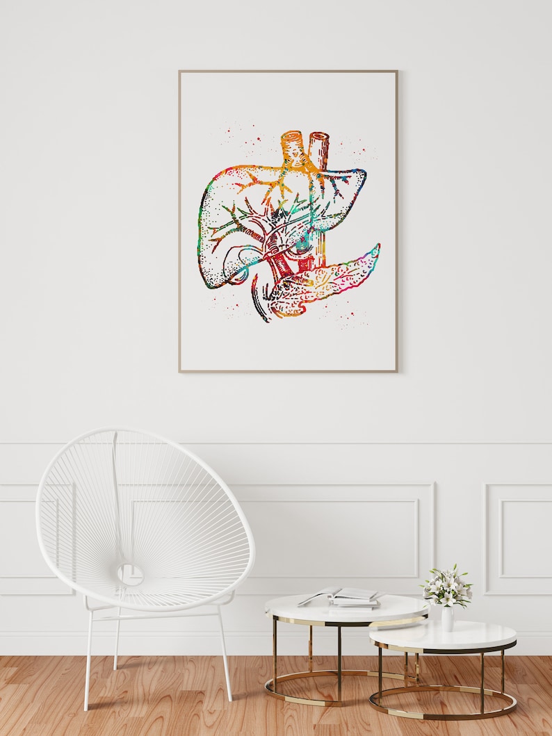 Human Liver Poster Medical Science Watercolor Digital Printable ...