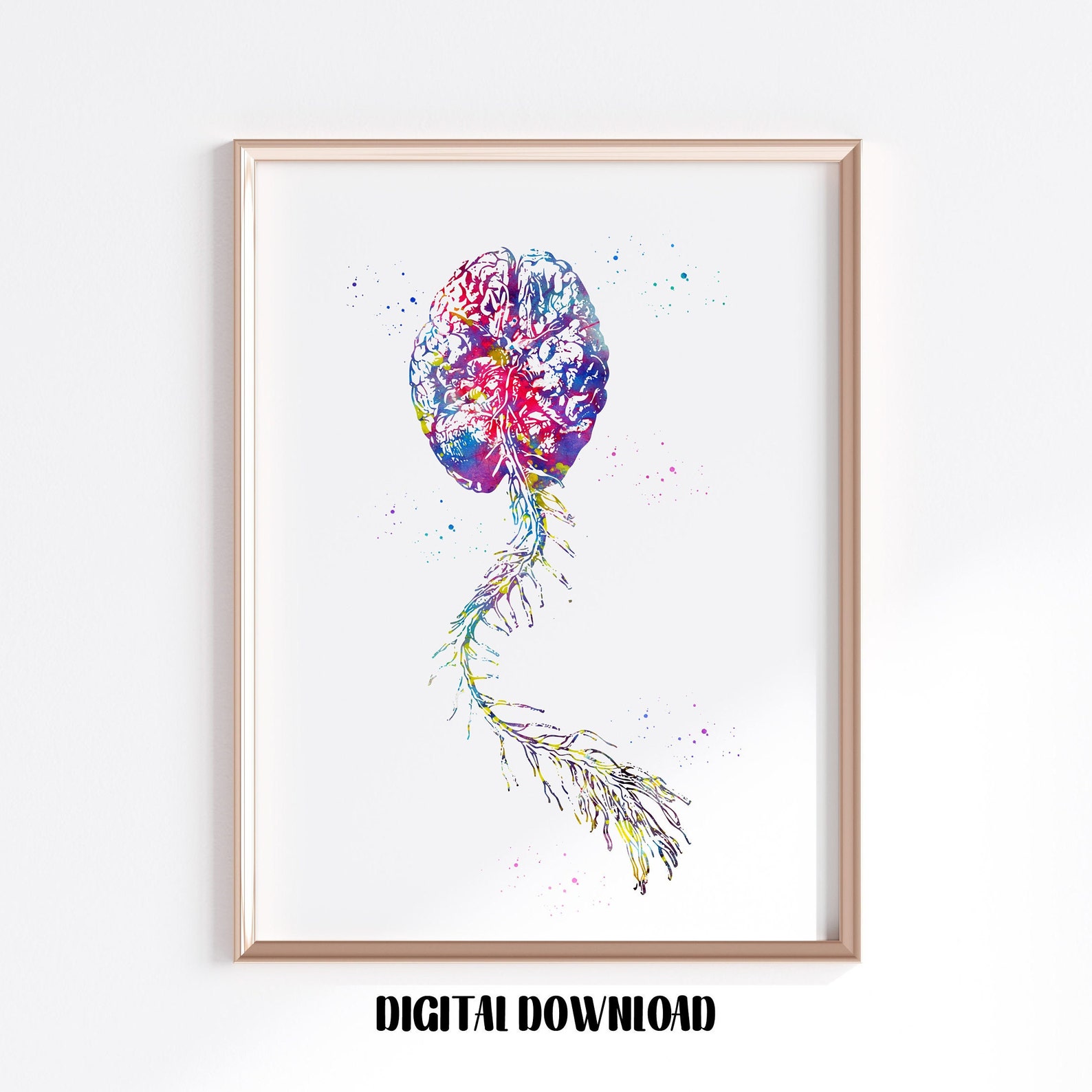 Human Spine With Brain Spinal Cord Anatomy Art Vertebral - Etsy