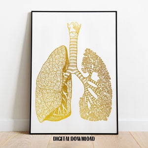 Lungs Anatomy Art Alveolar Respiratory System Human Lungs Illustration ...
