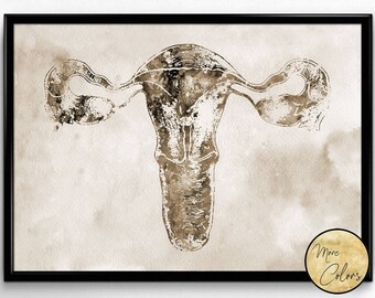 Female Reproductive System Uterus Anatomy Gynecology Fallopian | Etsy