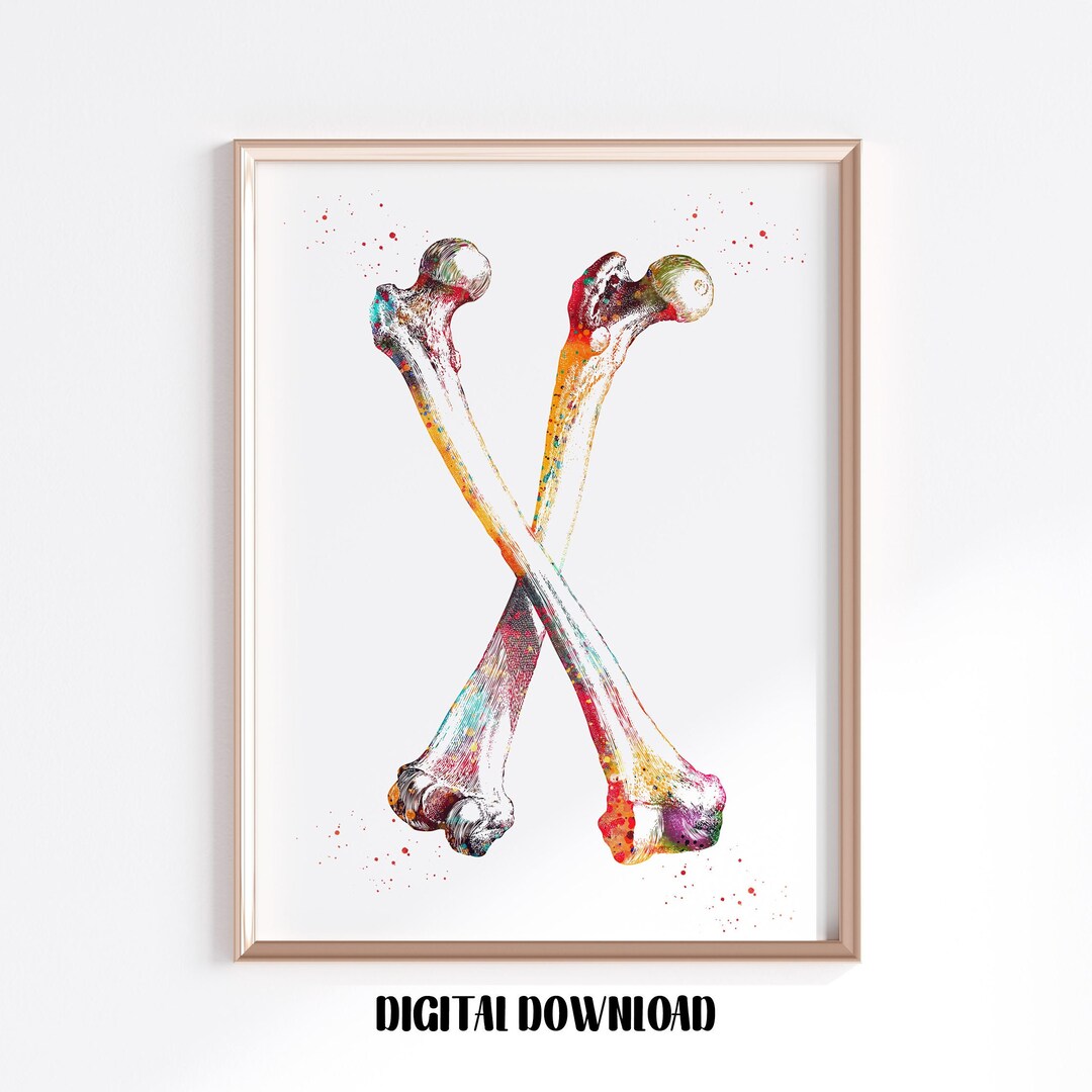 Femur Bones Human Skeleton Anatomy Poster Medical Science Watercolor ...