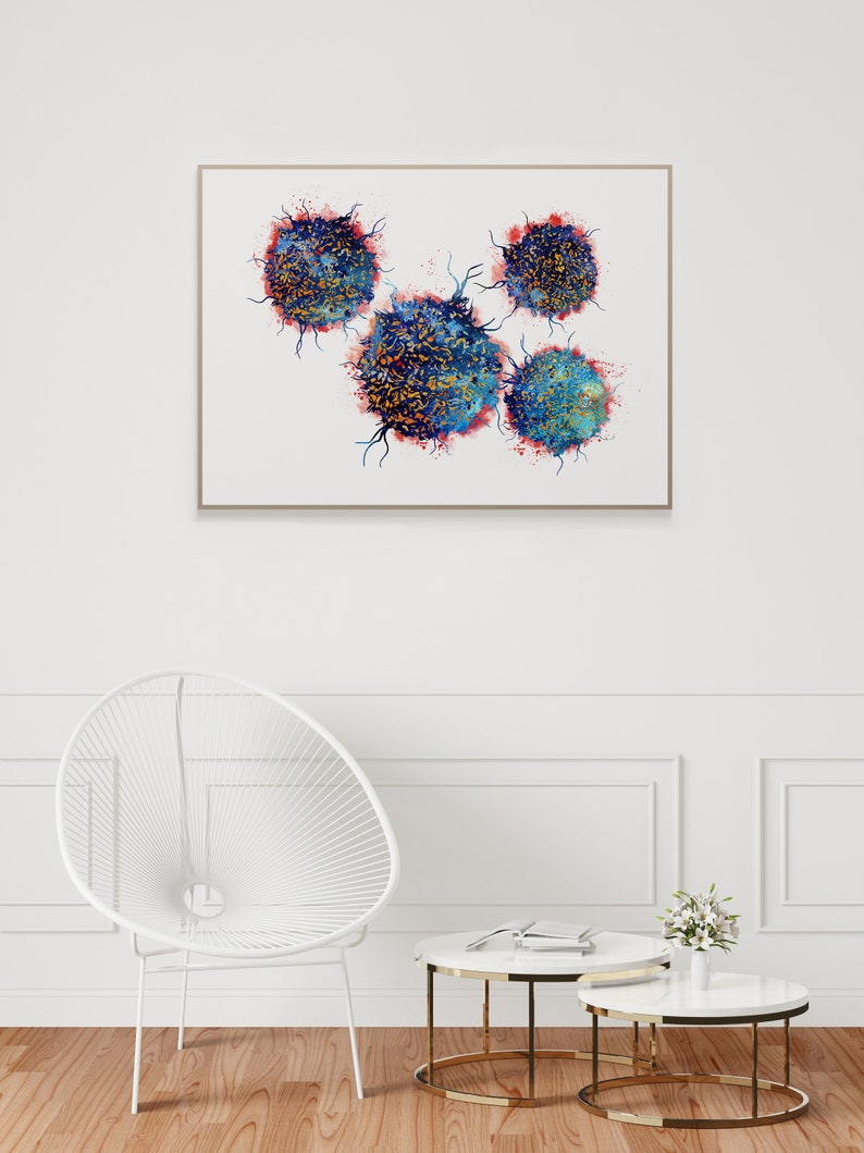 T Cells Human Immunology Biology Poster Medical Science - Etsy
