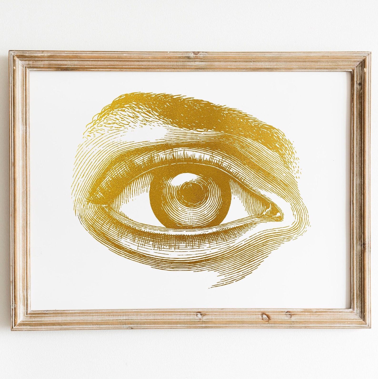 Human Eye Anatomy of Human Eye Science Clinic Decor Medical - Etsy