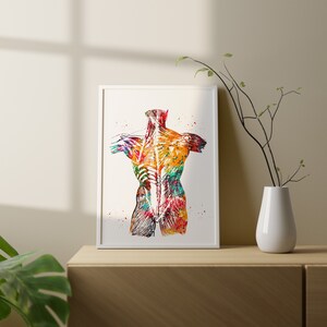 Back Muscles Human Muscles Anatomy Body Anatomical Biology Poster ...