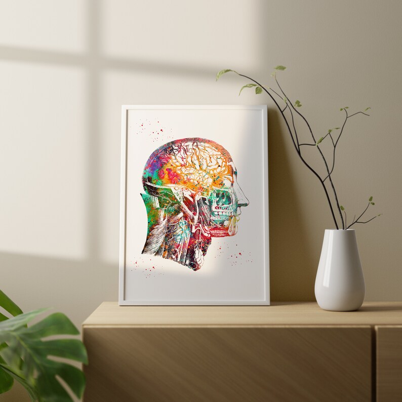 Head Anatomy Art Vascular System of Head and Brain Poster - Etsy