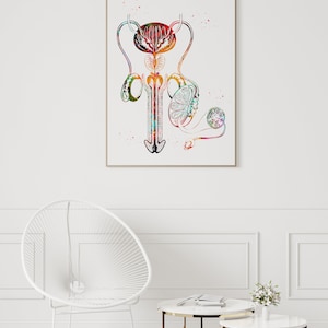 Human Male Reproductive System Anatomy Poster Medical Science - Etsy