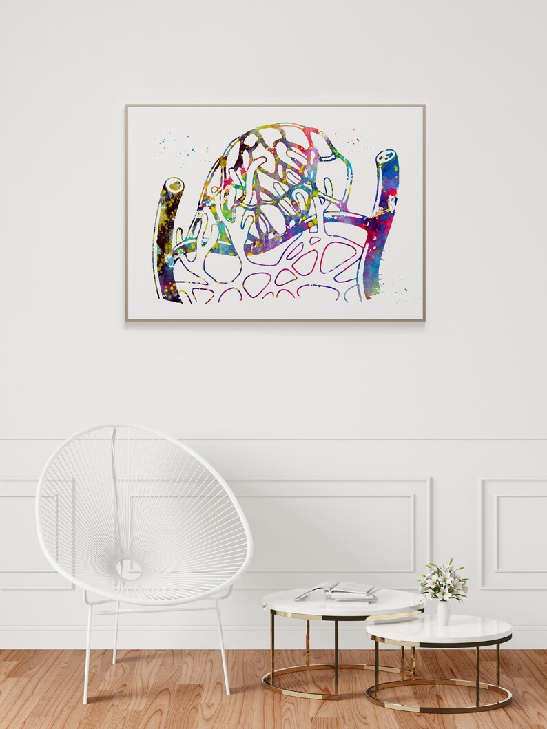 Lymphatic Capillaries in the Tissue Spaces Lymph Poster - Etsy