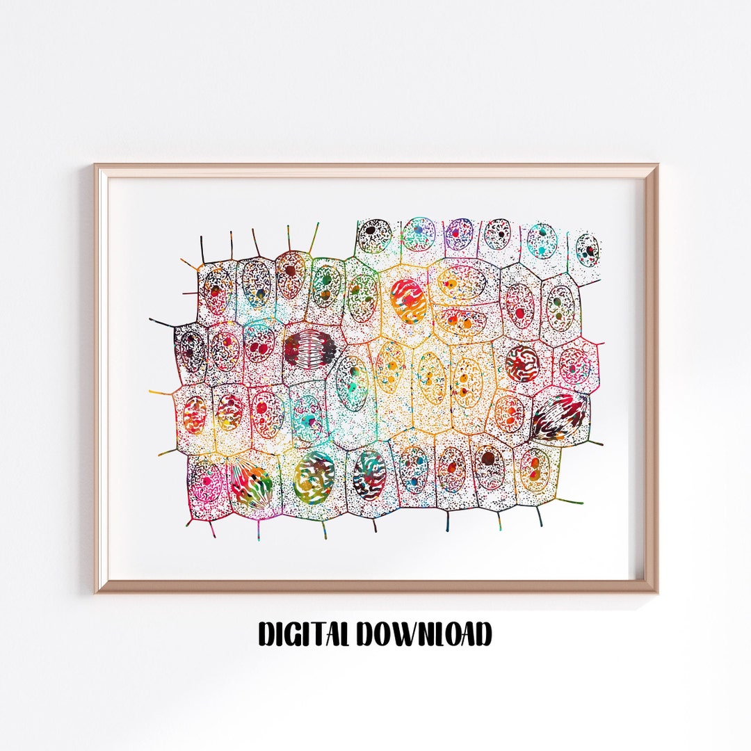 Mitosis Nature Biology Poster Medical Science Watercolor - Etsy