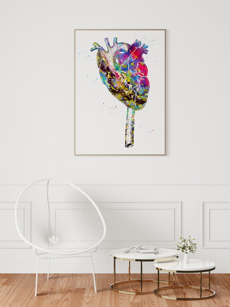 Aorta and Heart Anatomy Surgery Anatomical Biology Poster - Etsy