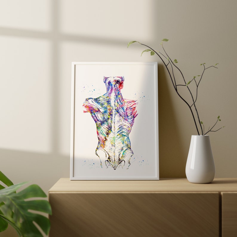 Back Muscles Watercolor Anatomy Poster: Medical Science Art (digital ...