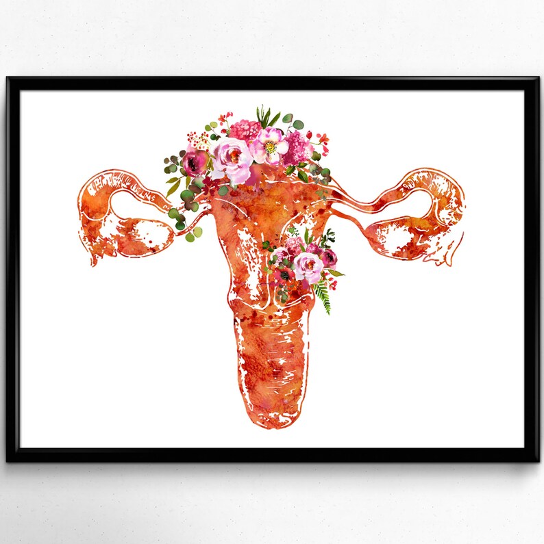 Female Reproductive System Watercolor Print Uterus Etsy