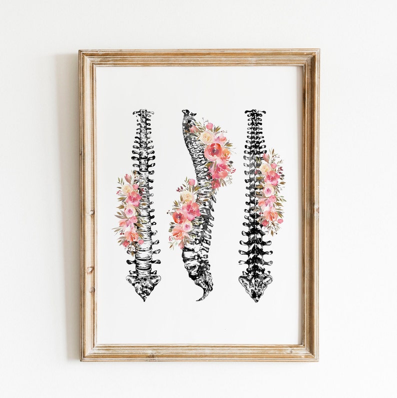 Human Spine Spinal Cord Anatomy Vertebral Column Poster - Etsy