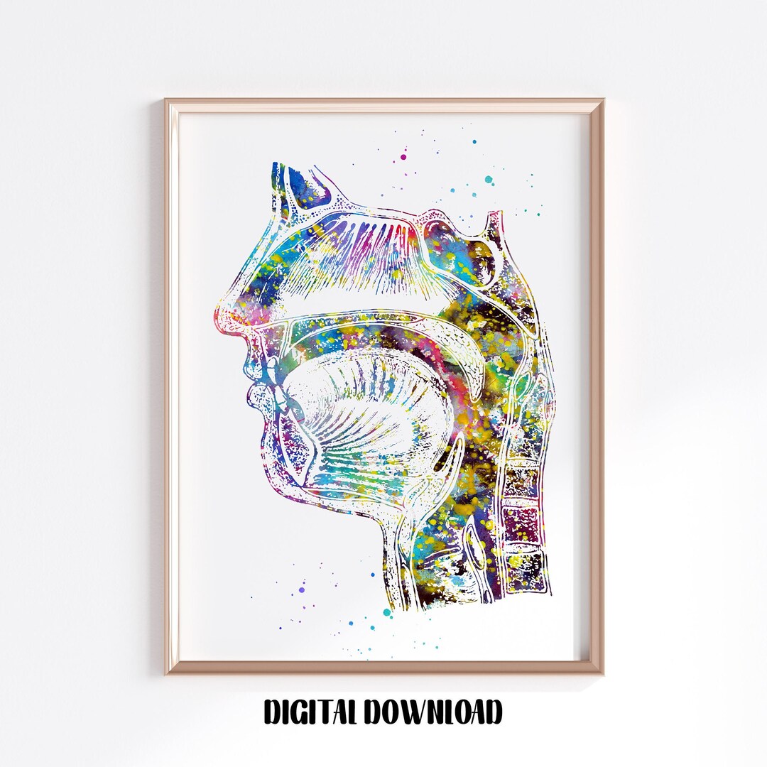 Respiratory System Nose Mouth Throat Larynx Function Anatomy Art ...