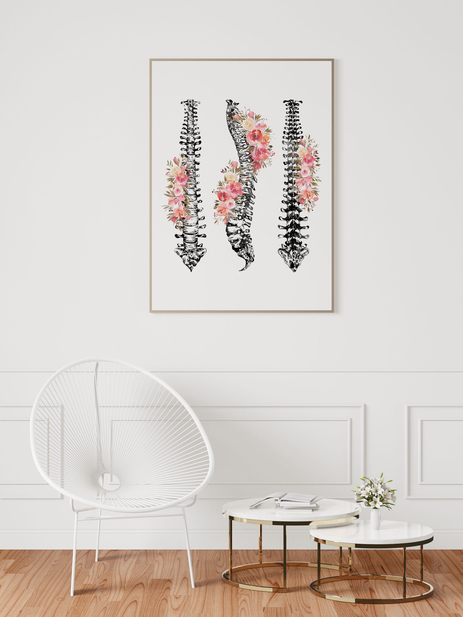 Human Spine Spinal Cord Anatomy Vertebral Column Poster Medical Science ...