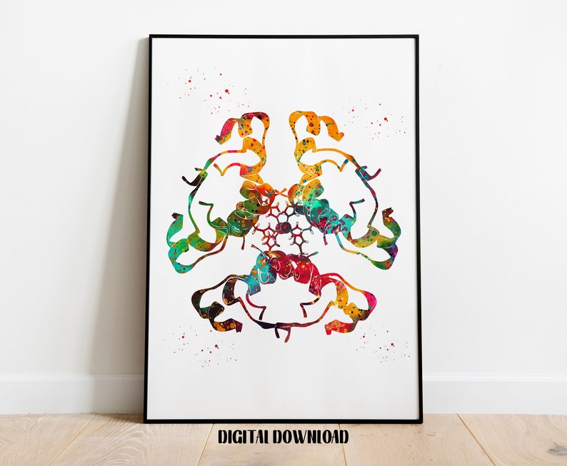 Insulin Structure Poster Diabetes Medication Endocrinology - Etsy