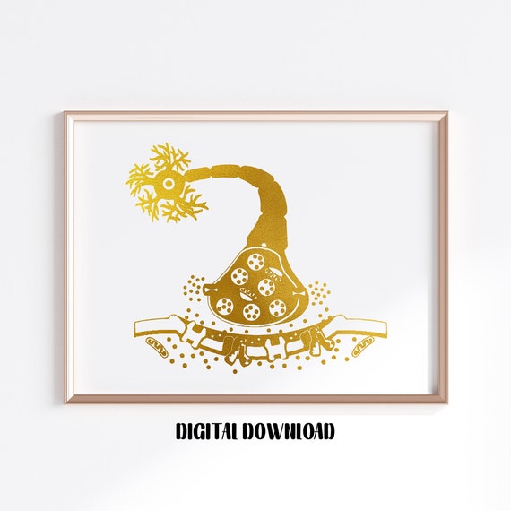 Neuron and Synapse Diagram Clinic Decor Medical Golden Art - Etsy