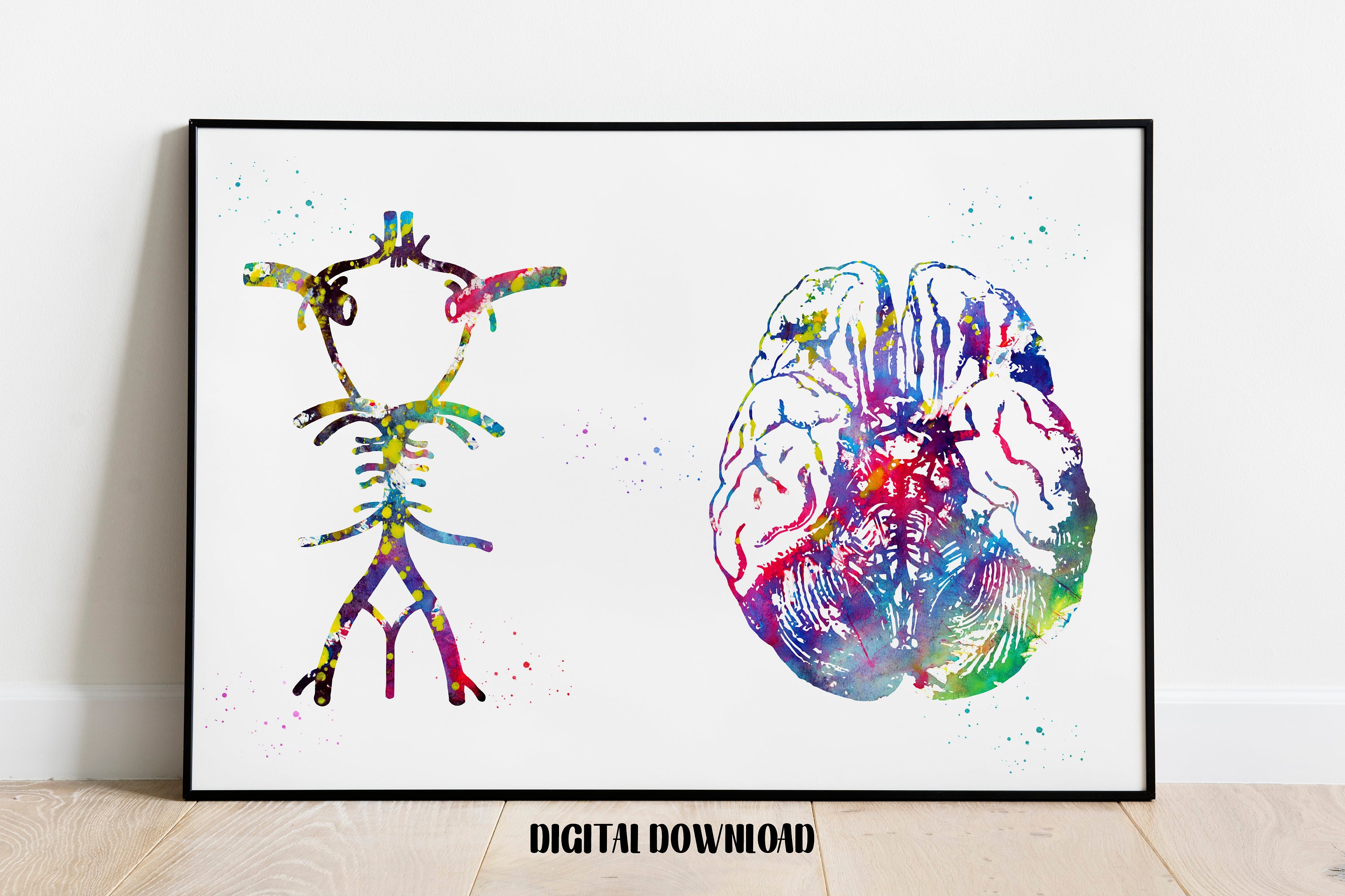 Circle of Willis Brain Anatomy Poster Medical Science - Etsy Canada