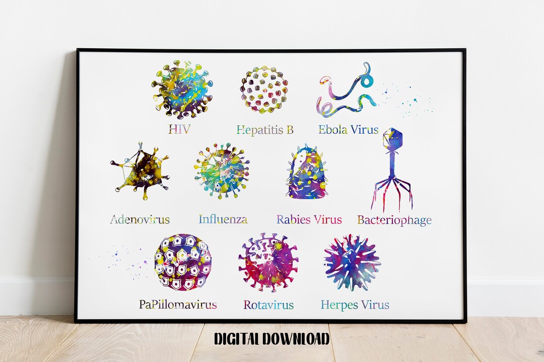 Diagram Showing Different Kinds of Viruses Virus Structure Biology Art ...