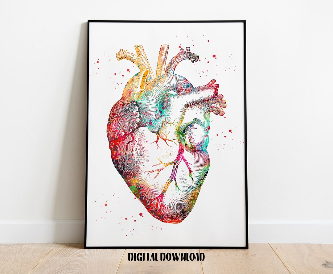 Human Heart Poster Anatomy Surgery Anatomical Medical Science ...