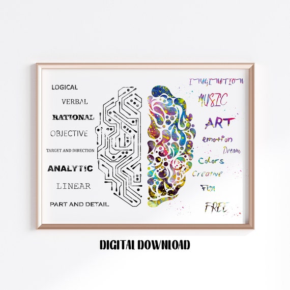 Left and Right Brain Function Brain Poster Medical Science - Etsy