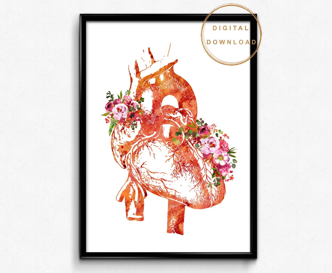 Human Heart Poster Anatomy Surgery Medical Science Watercolor | Etsy