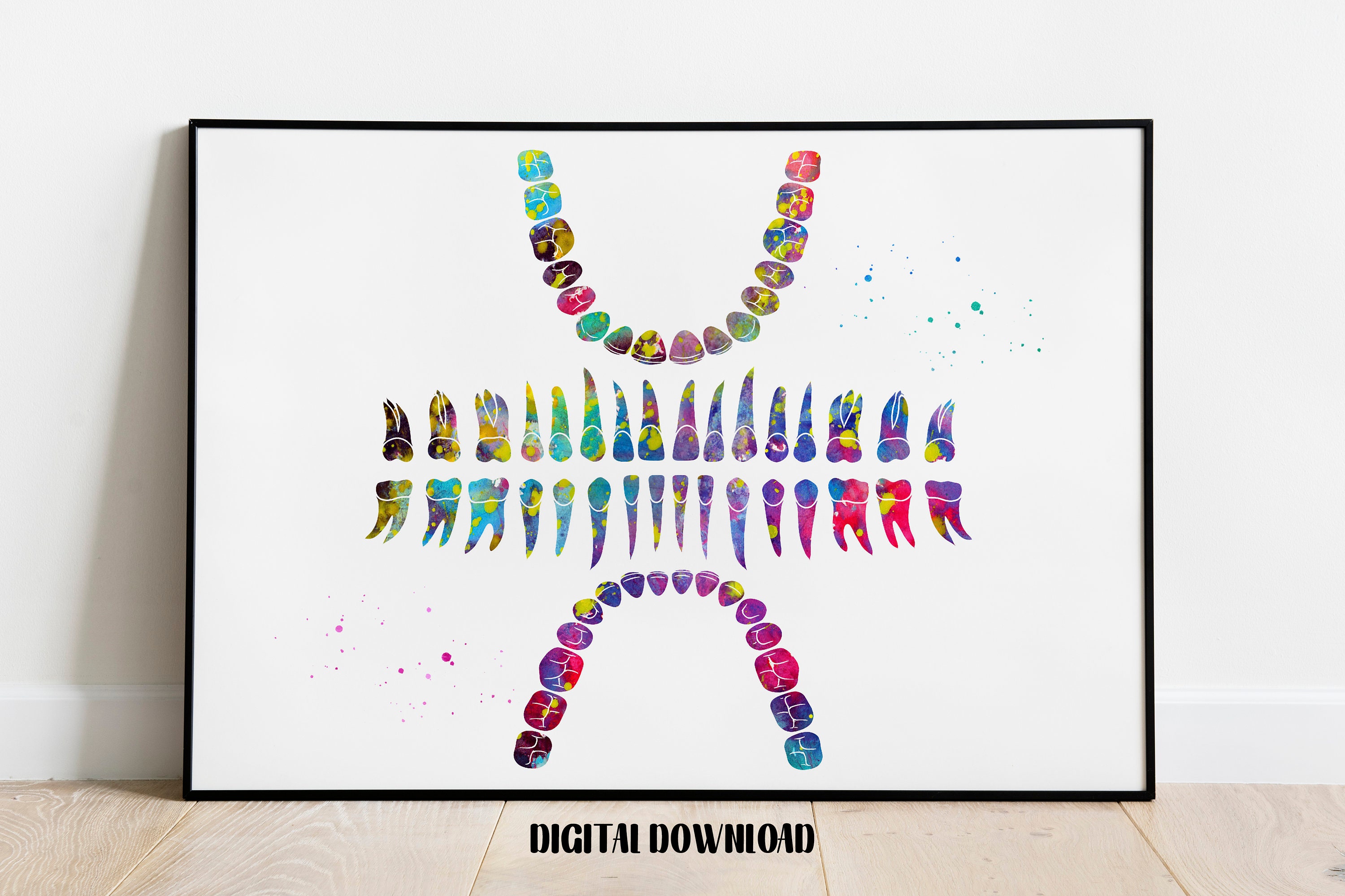 Teeth Anatomy Art Teeth Illustration Dental Biology Poster - Etsy