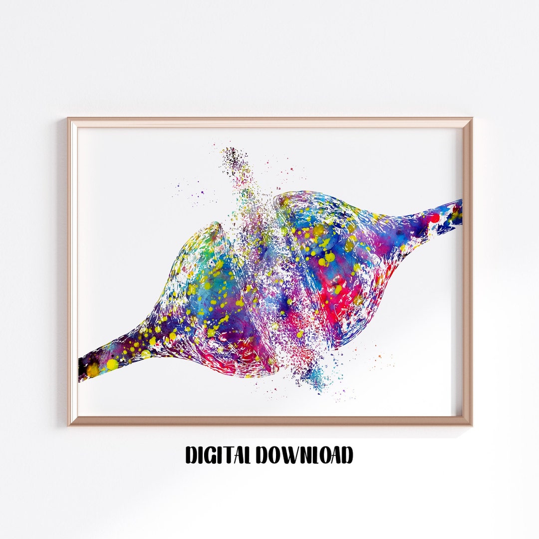 Human Nerve Cell Synapse Receptor Brain Neurology Neurotransmitters ...