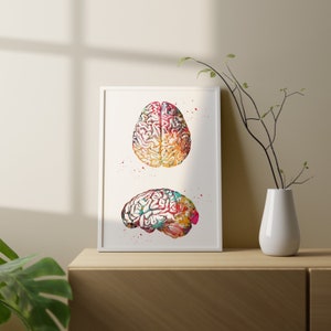 Human Brain Anatomy Poster Medical Science Watercolor Digital Printable ...