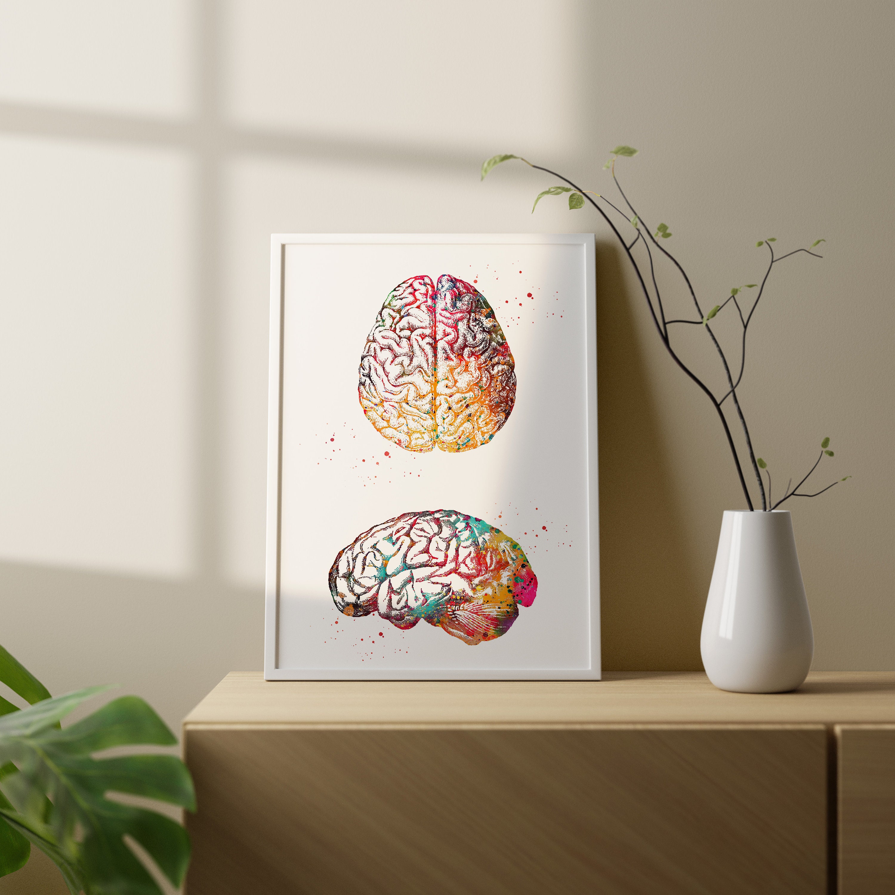 Human Brain Anatomy Poster Medical Science Watercolor Digital - Etsy UK