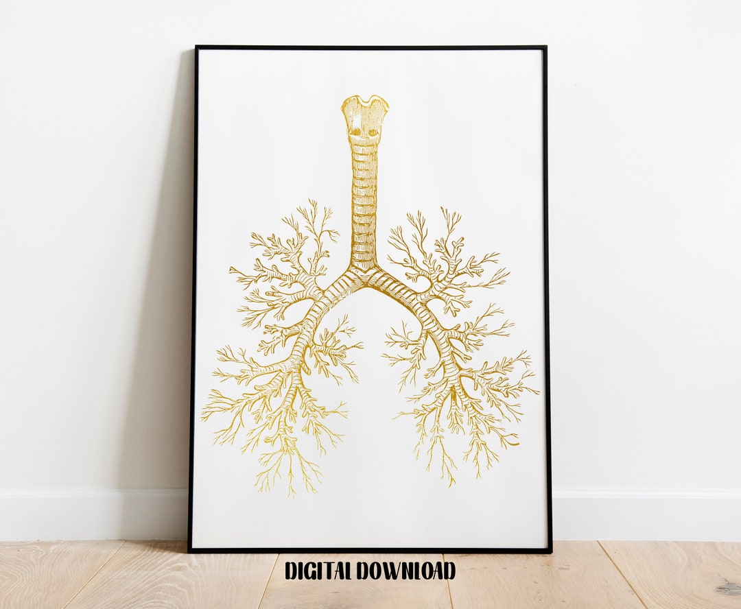 Bronchial Tree Lungs Art Anatomy Alveolar Respiratory System Human ...