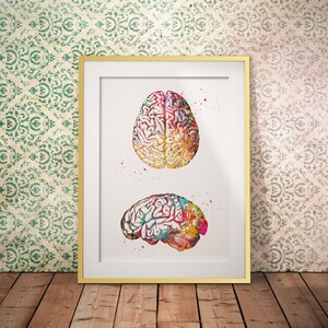 Human Brain Anatomy Poster Medical Science Watercolor Digital Printable ...