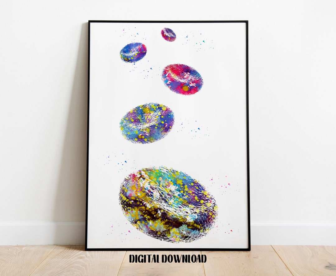 Red Blood Cells Blood Histology Hematology Poster Medical Science ...