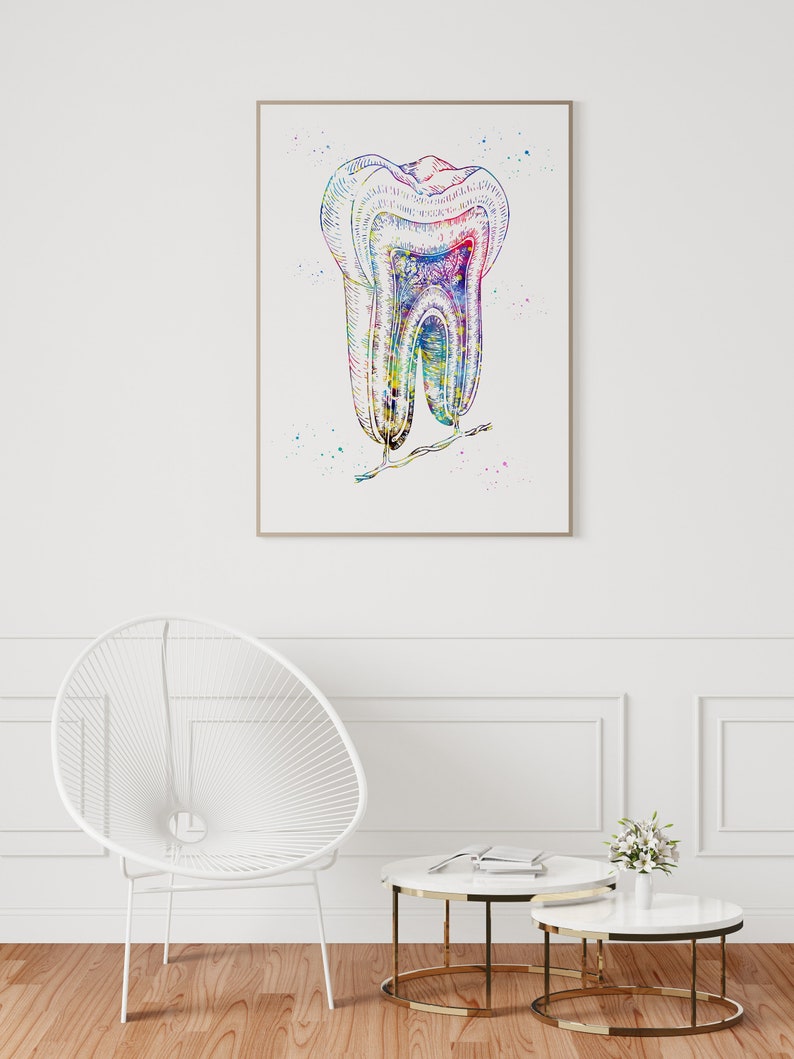 Human Tooth Structure Tooth Cross Section Surgeon Dental | Etsy