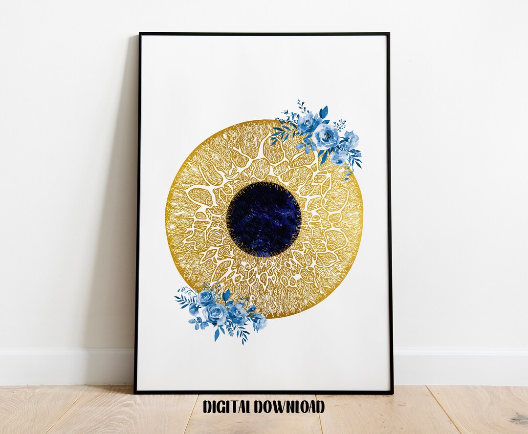 Human Eye Anatomy Blood Supply to Iris Papilla of the Retina Floral ...