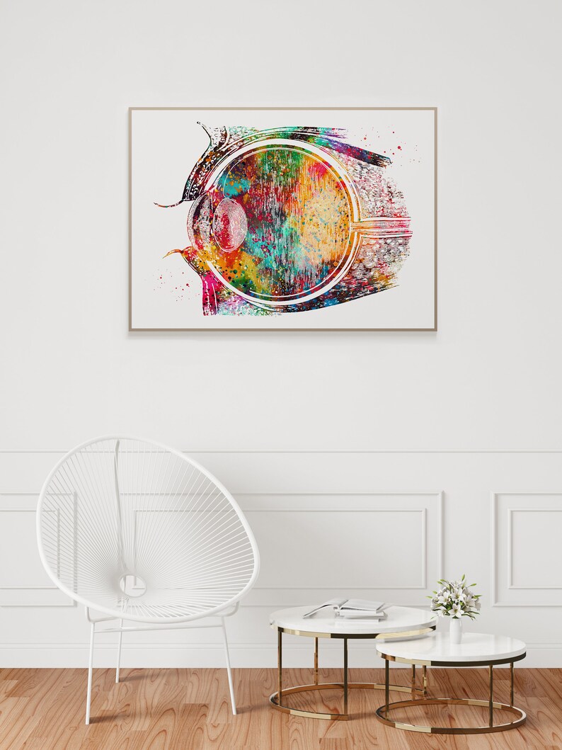 Eye Anatomy Human Eye Optometrist Optician Poster Medical Art | Etsy