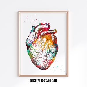 Human Heart Poster Anatomy Surgery Anatomical Medical Science - Etsy