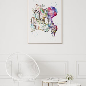 Hip Bone Ligaments and Joint Poster Medical Science Watercolor Digital ...