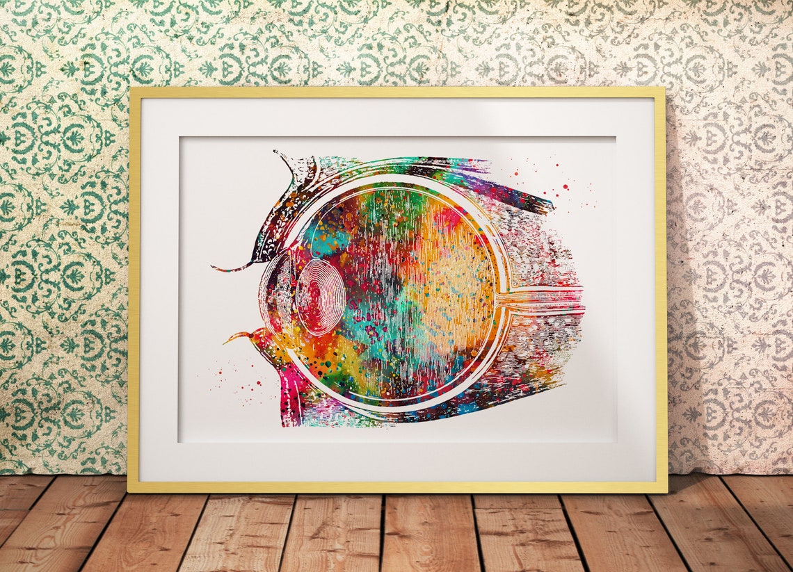 Eye Anatomy Human Eye Optometrist Optician Poster Medical Art | Etsy